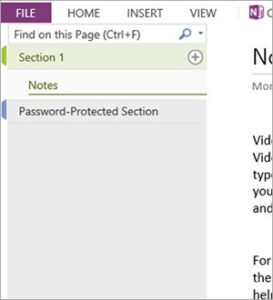 OneNote allows Viewing & Editing In password-protected sections