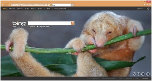 Microsoft announces The Bing For Schools Program