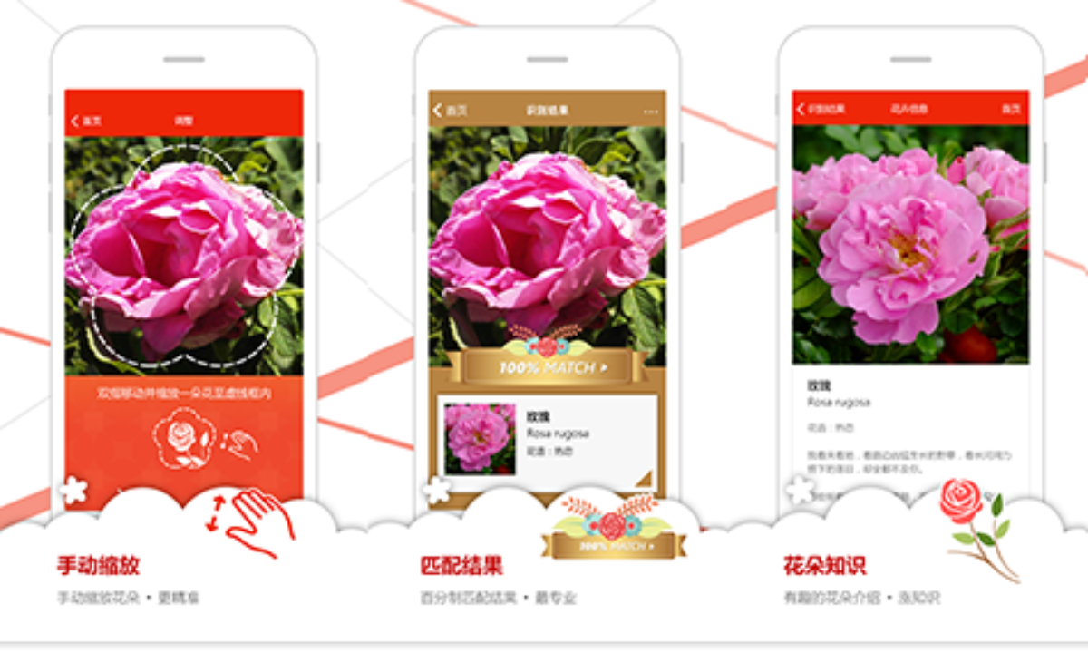 Flower Recogniser App | Best Flower Site