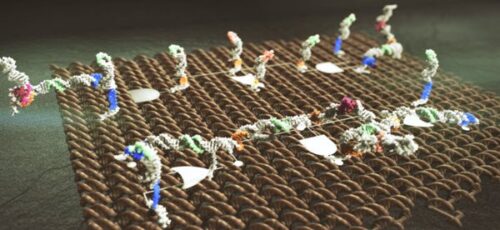 A nanoscale computational circuit board with DNA built by researchers