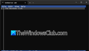 Microsoft Edit command-line text editor for Windows